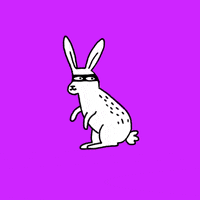 Rabbit Run Gif