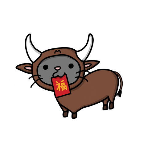 Money Envelope GIFs - Get the best GIF on GIPHY