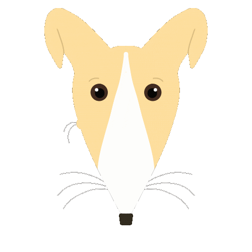 Dog Adopt Sticker for iOS & Android | GIPHY