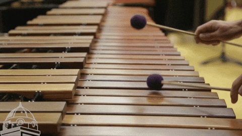 Marimba GIFs - Get the best GIF on GIPHY