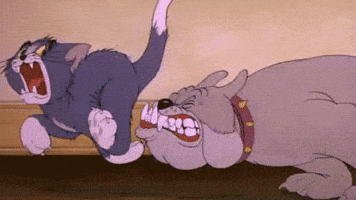 Tom&jerry GIFs - Find & Share on GIPHY