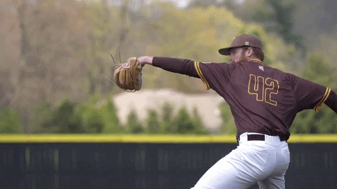 Baseball Pitch GIF by Valparaiso University - Find & Share on GIPHY