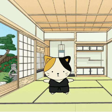 Cat Karate GIF - Find & Share on GIPHY