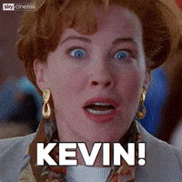 Home Alone Kevin Gif