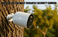 Security Camera Footage Gif