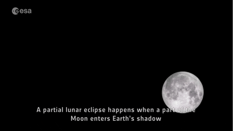 Partial-solar-eclipse GIFs - Get the best GIF on GIPHY