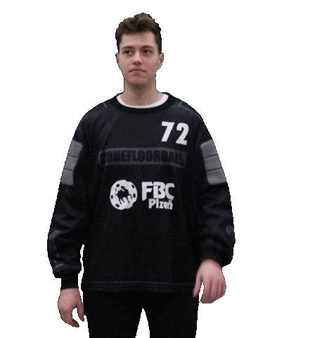FbC Plzeň - hráči GIFs on GIPHY - Be Animated