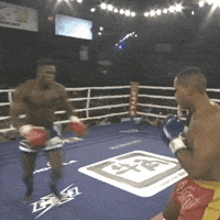 Boxing Gif