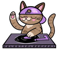 Rave Cat Gif
