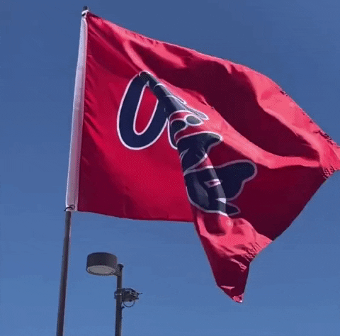 Hotty Toddy Gif