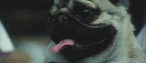 The Stairway To The Distant Past GIFs - Get the best GIF on GIPHY