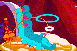 Caterpillars GIFs - Get the best GIF on GIPHY