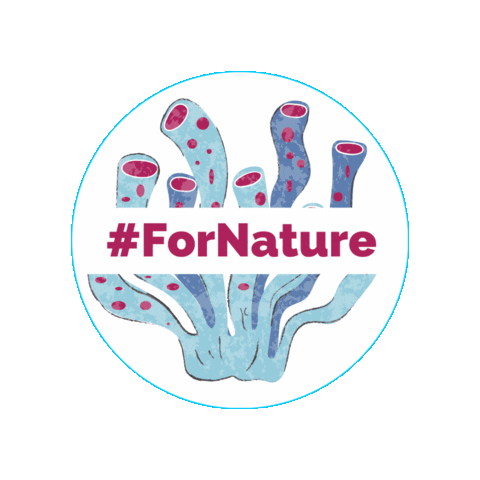 UN Environment Programme GIFs on GIPHY - Be Animated