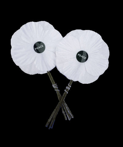 Peace Pledge Union GIFs on GIPHY - Be Animated