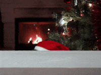 Blowing-trees GIFs - Get the best GIF on GIPHY