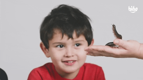 Kids Describe GIFs - Get the best GIF on GIPHY