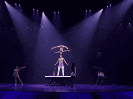 Ringling Bros. and Barnum & Bailey GIFs on GIPHY - Be Animated