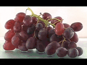 Grape Escape GIFs - Get the best GIF on GIPHY