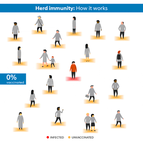 Vaccine Safety Net GIF - Find & Share on GIPHY
