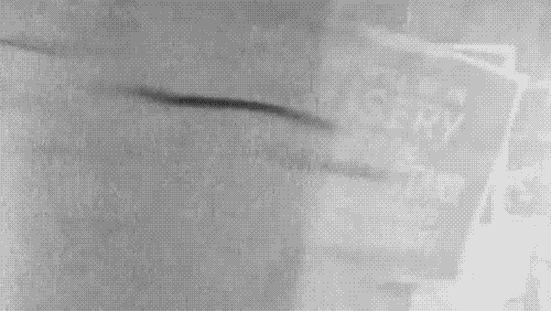 I Wish He Won GIFs - Get the best GIF on GIPHY