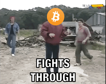 Bitcoinmarketing GIFs - Get the best GIF on GIPHY