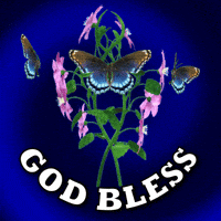 Funny God Bless You Gif