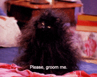 Messy Hair GIFs - Find & Share on GIPHY
