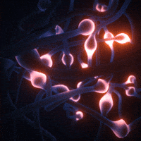 Machine Learning GIFs - Find & Share on GIPHY