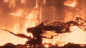 Fire Ring GIFs - Find & Share on GIPHY