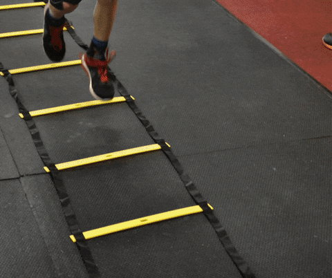 GIF by Salus - Find & Share on GIPHY