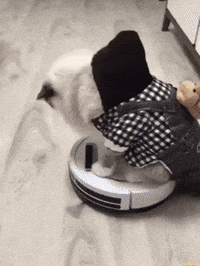 Vacuum GIFs - Find & Share on GIPHY