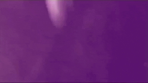 Frameworks GIF by Topshelf Records - Find & Share on GIPHY