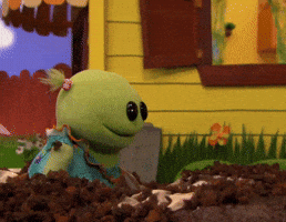 water splashing GIF by Texas A&M University