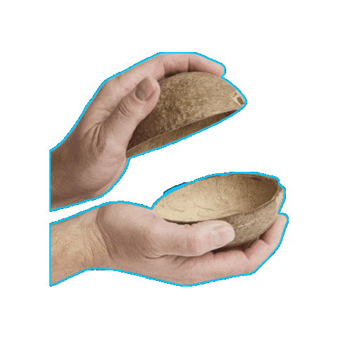 Monty Python Hand Sticker by Monty Python's Spamalot - Find & Share on ...