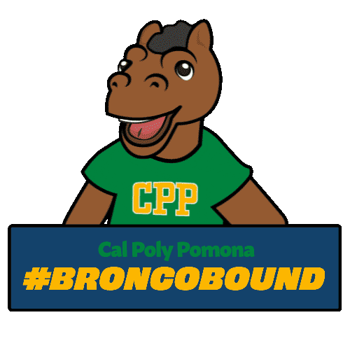 Cal Poly Csu Sticker by CPP Project CAMINOS - Find & Share on GIPHY