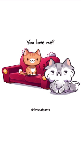Cat Love Meme Clips - Find & Share on GIPHY