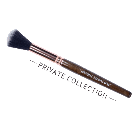 Brush Sticker by Yarin Shahaf - Find & Share on GIPHY