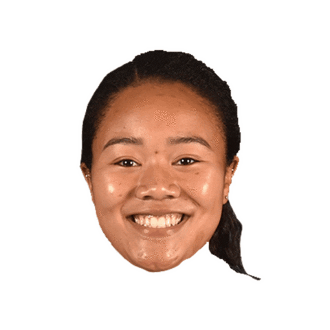 Uncwsoftballheads Stickers - Find & Share on GIPHY