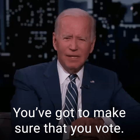 Voting 2020 Election GIF by #GoVote - Find & Share on GIPHY