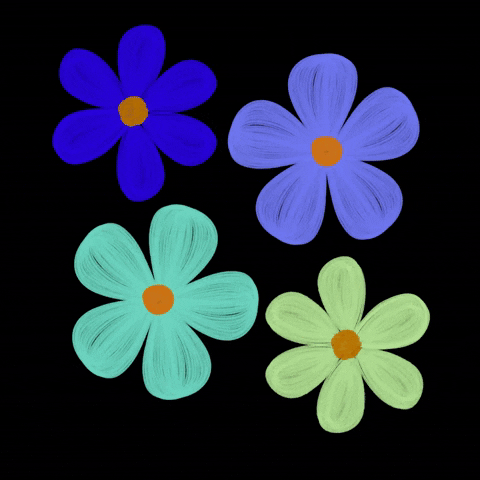 Illustration Flower GIF - Find & Share on GIPHY
