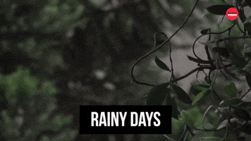 Make It Rain The Toy Box GIF by ABC Network