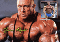 Meme Bodybuilding GIFs - Find & Share on GIPHY