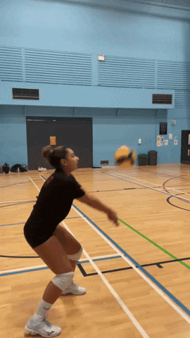 University of York Volleyball Club GIF - Find & Share on GIPHY