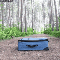 Señor GIFs - Find & Share on GIPHY