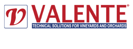 Valente Pali Sticker For Ios And Android Giphy