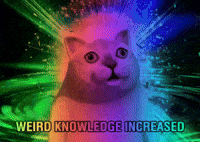 Knowledge GIFs - Find & Share on GIPHY