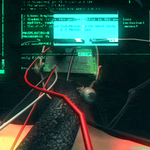 - Find & Share on GIPHY