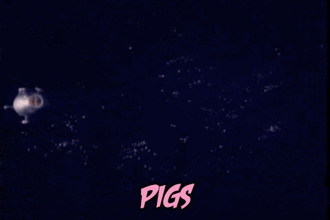 Pigs In Space GIFs - Find & Share on GIPHY
