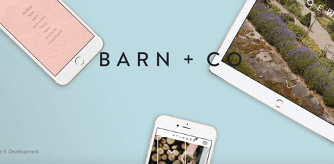 Trends Web Development GIFs - Find & Share on GIPHY