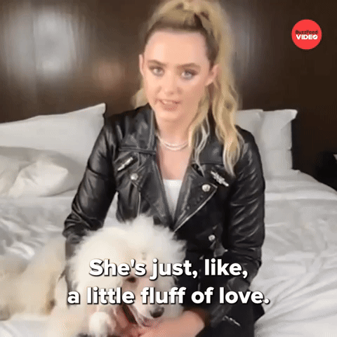 Fluff Person Clips - Find & Share on GIPHY